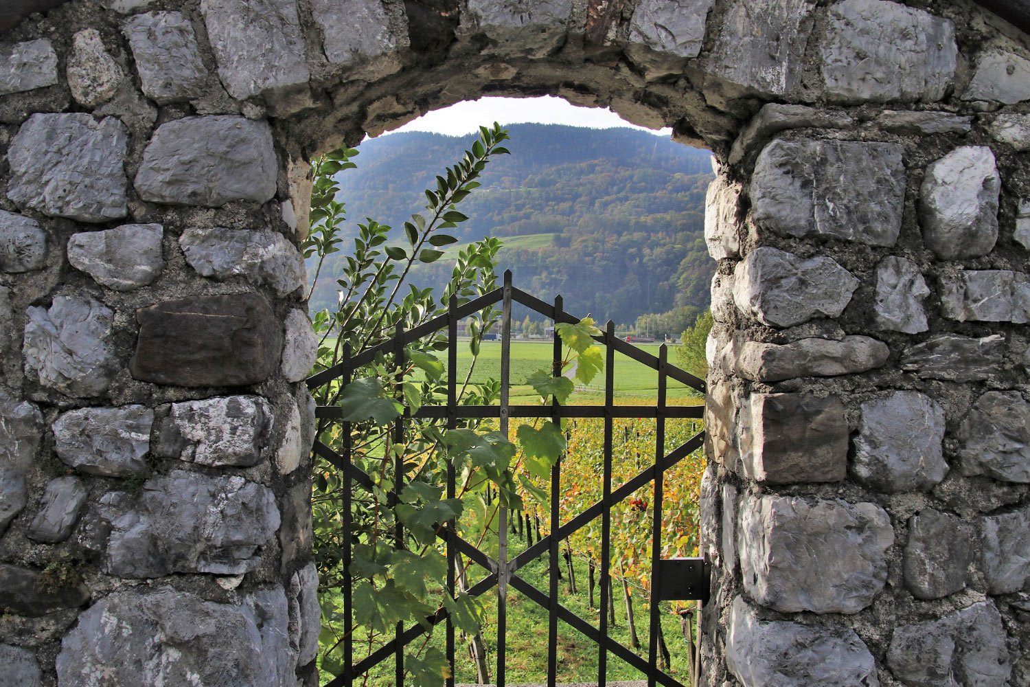 Contact ARI immediately for advice on product lines